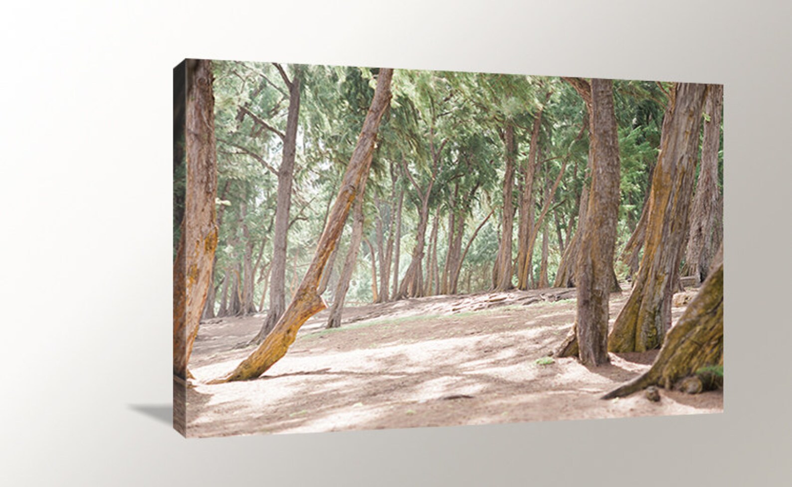 Forest Landscape Canvas, Nature Forest,forest Green Landscape Canvas ...