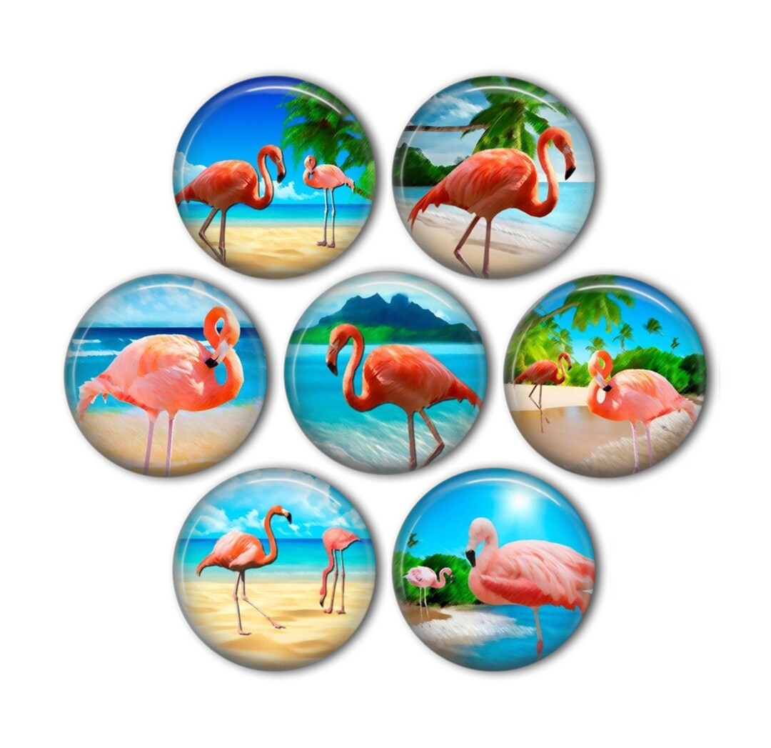 Pink Flamingo 1" Magnets - Set of 7 - Etsy