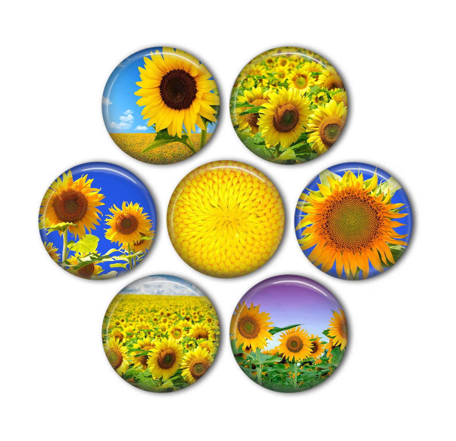 Sunflower 1 Magnets Set of 7 - Etsy