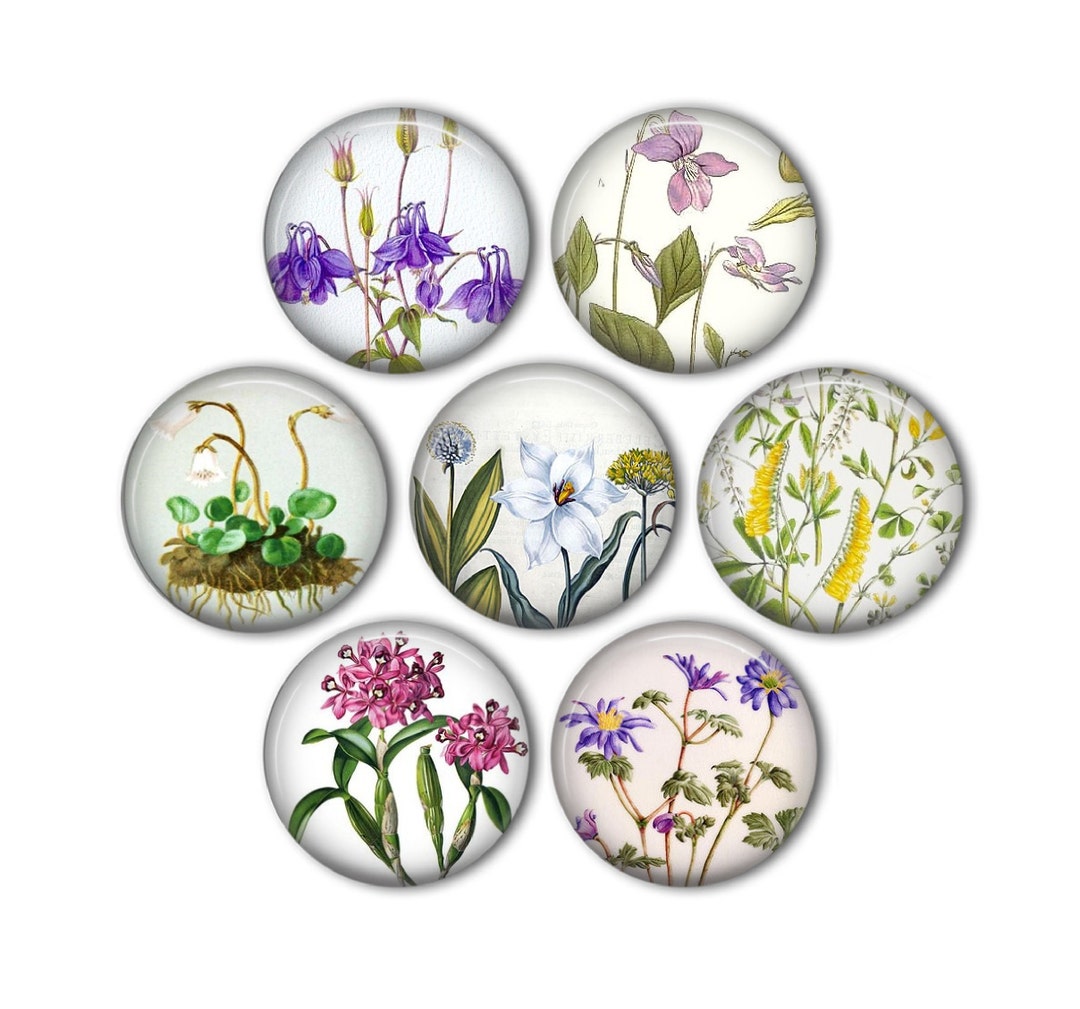 Flower 1" Magnets - Set of 7 - Etsy