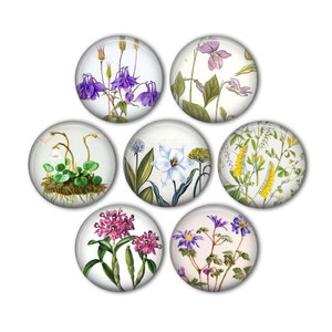 Flower 1" Magnets - Set of 7 - Etsy