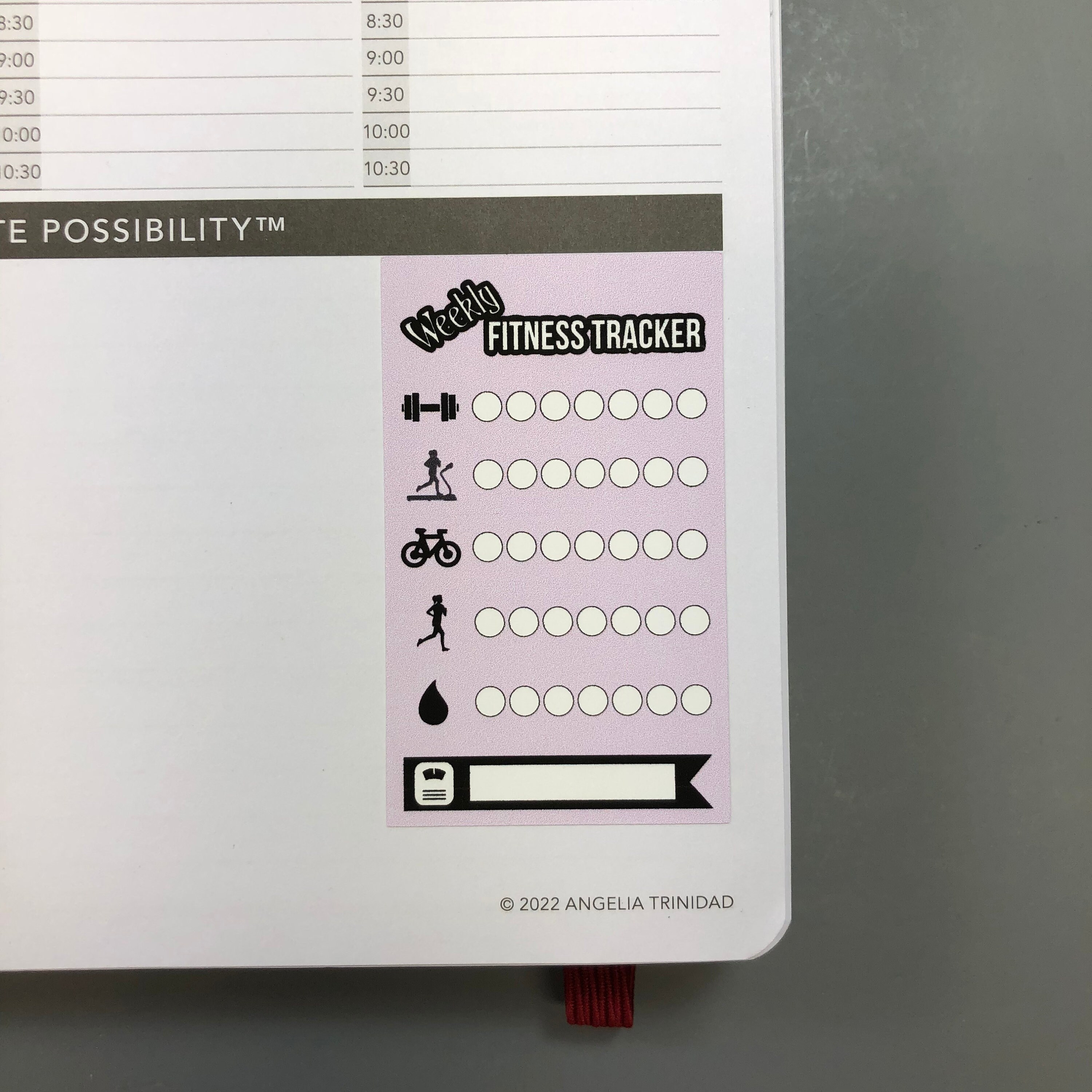 FITNESS TRACKER weekly Stickers for Passion Planner Erin - Etsy