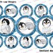 Penguin Images Penguin BCI Bottle Cap Images Glitter Images Glitter BCI ...