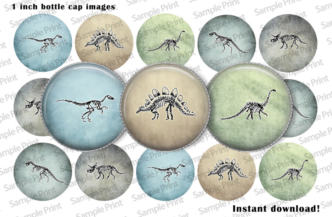 Dinosaur Images - Dinosaur BCI - 25mm Cabochons - 1 Inch Circles - 4x6 ...