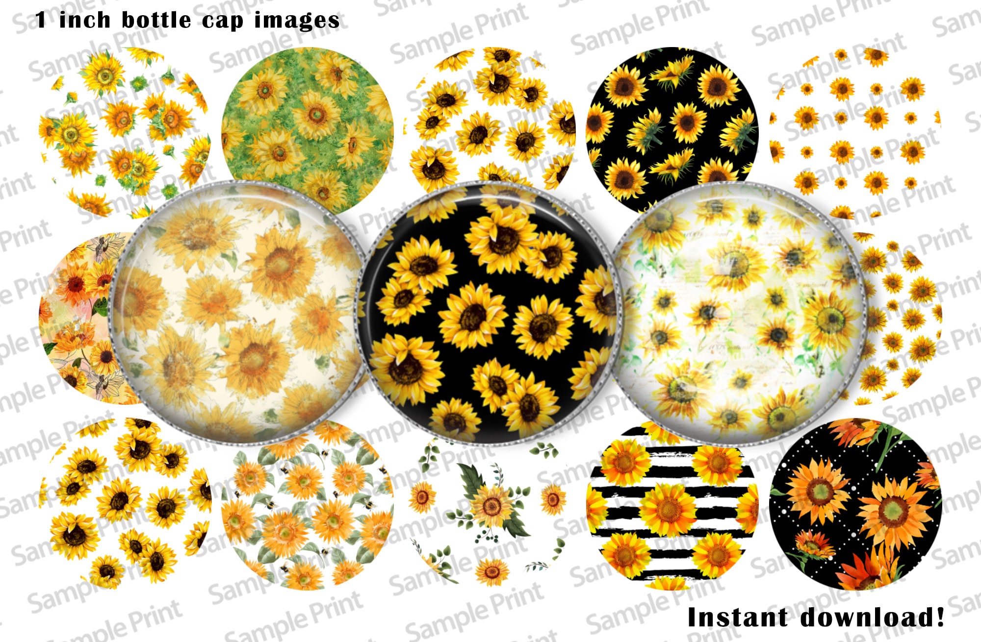 Sunflower Images - Sunflower BCI - Editable Sunflower - Editable Images ...