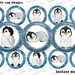 Penguin Images Penguin BCI Bottle Cap Images Glitter Images Glitter BCI ...