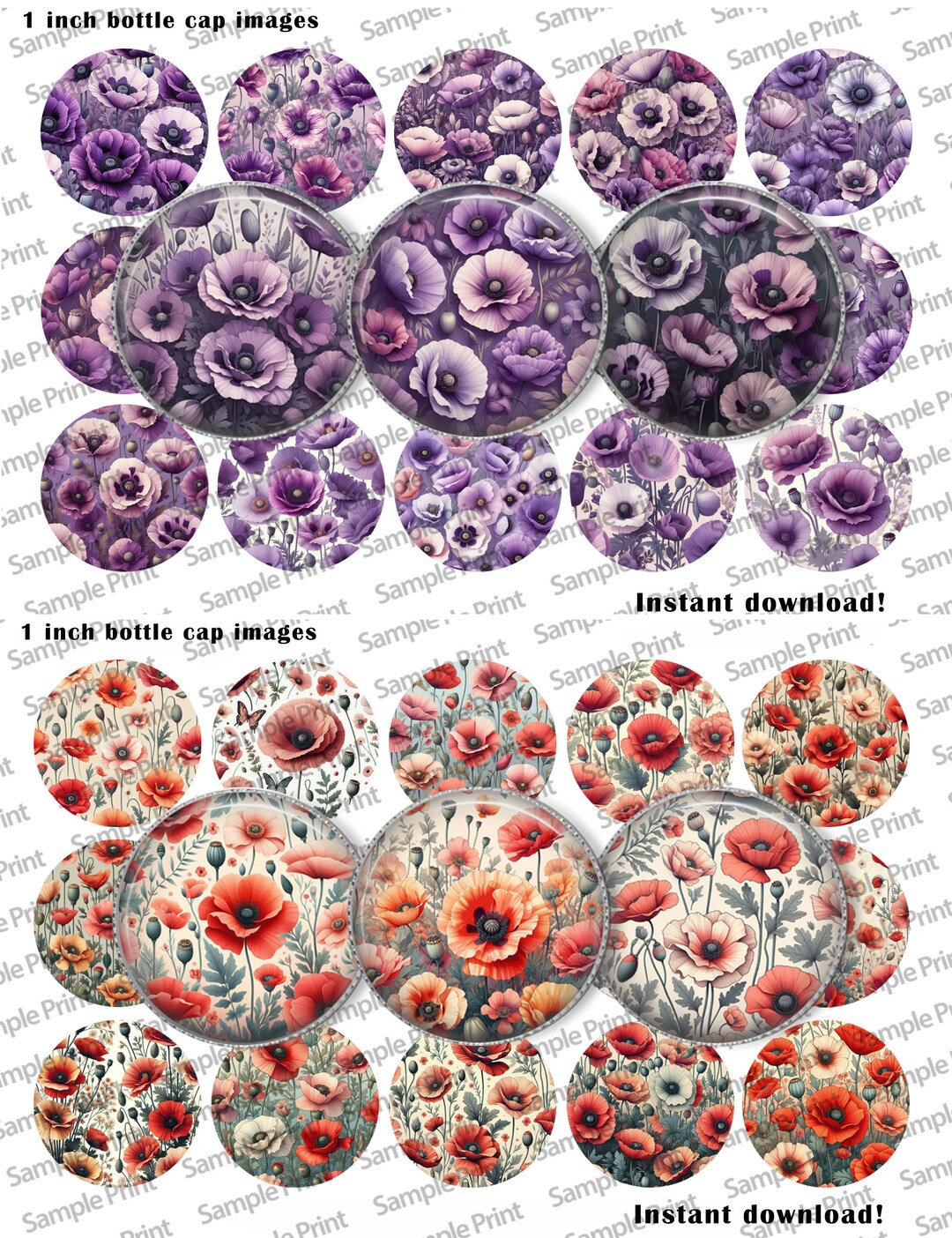 Red Poppy BCI - Red Poppy Images - Purple Poppy BCI - Purple Poppy ...
