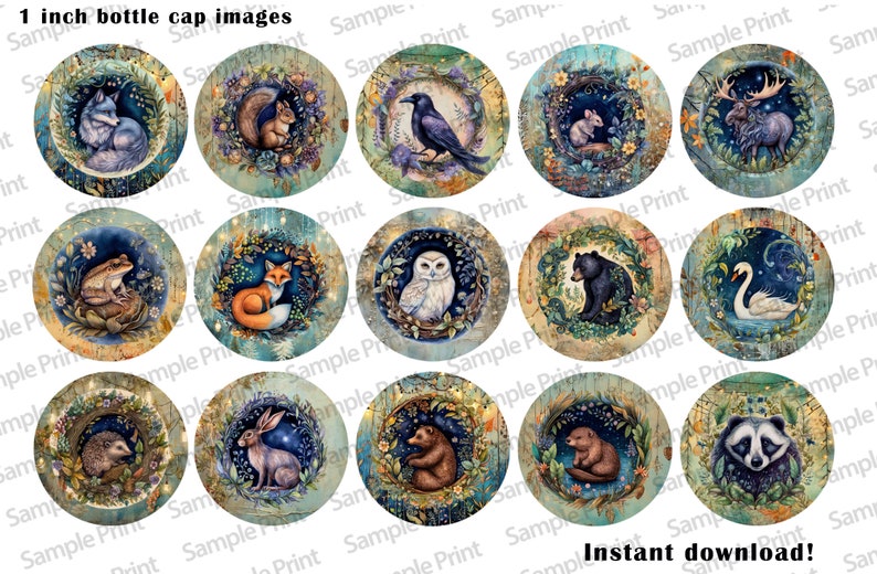 Woodland Animal BCI - Woodland Images - Animal Images - Animal BCI ...