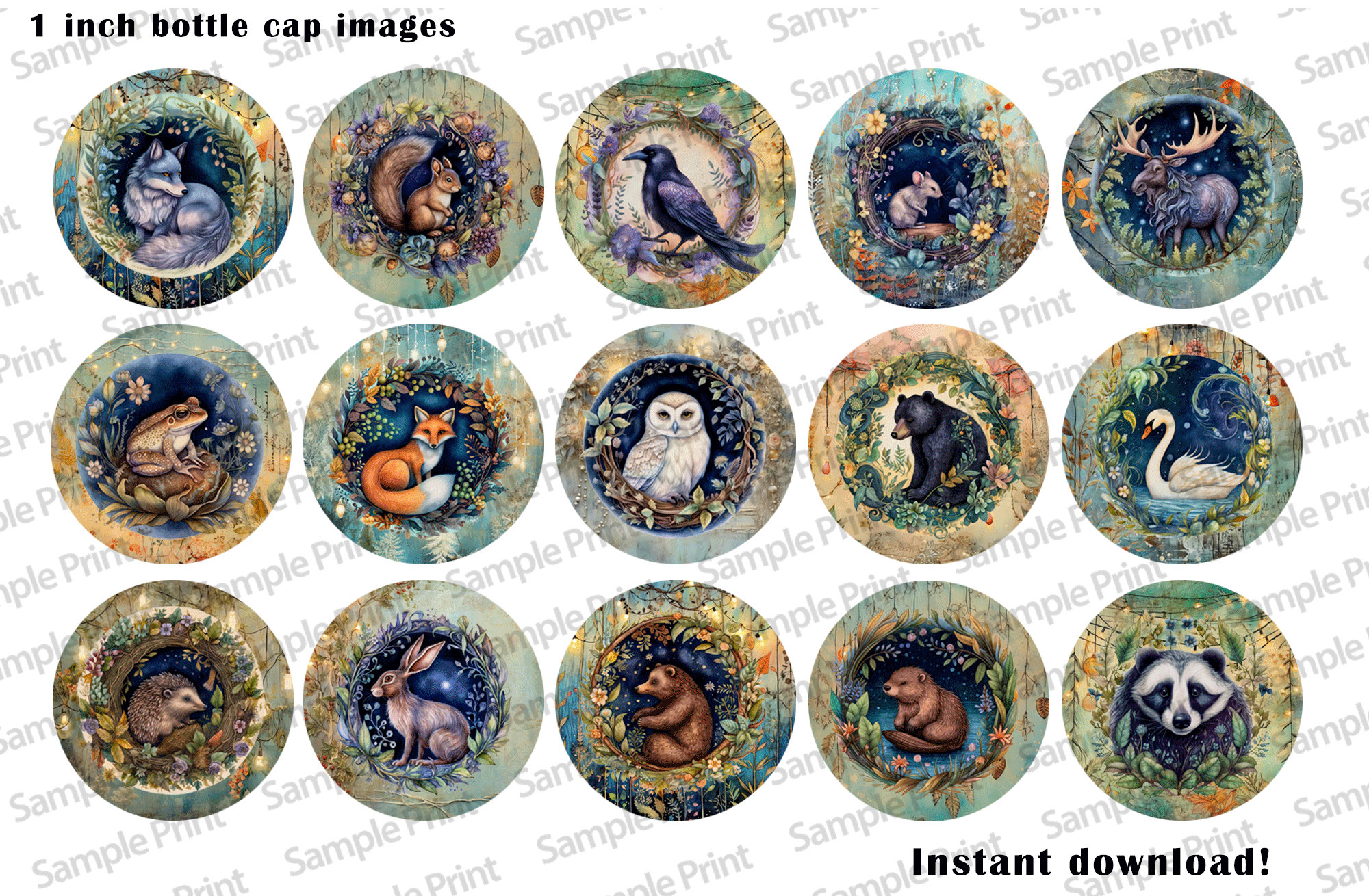Woodland Animal BCI - Woodland Images - Animal Images - Animal BCI ...