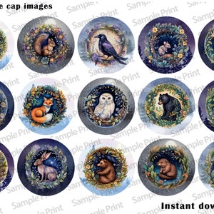 Woodland Animal BCI - Woodland Images - Animal Images - Animal BCI ...