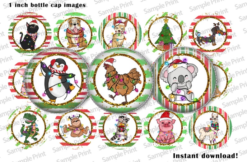 Christmas Light BCI - Christmas Animals - Christmas Images - Christmas ...
