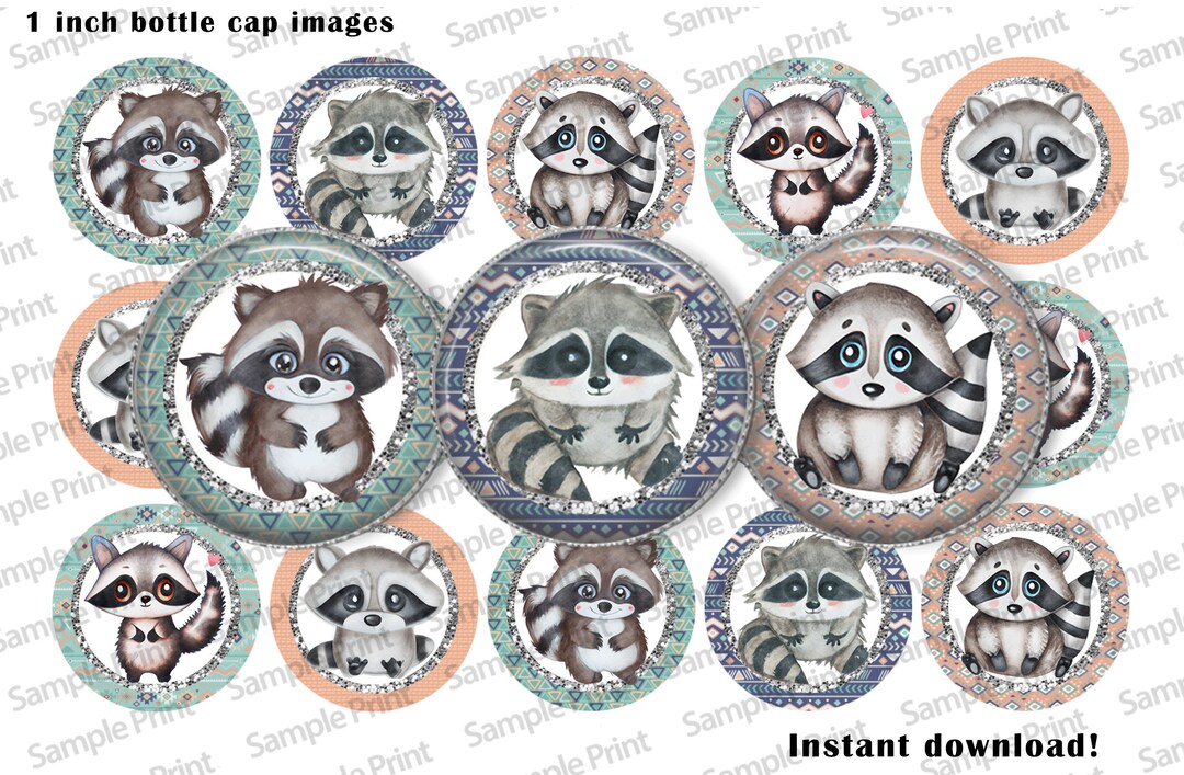 Raccoon Images - Raccoon BCI - Trash Panda - Animal Images - 25mm ...