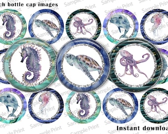 Turtle Bottle Cap - Etsy