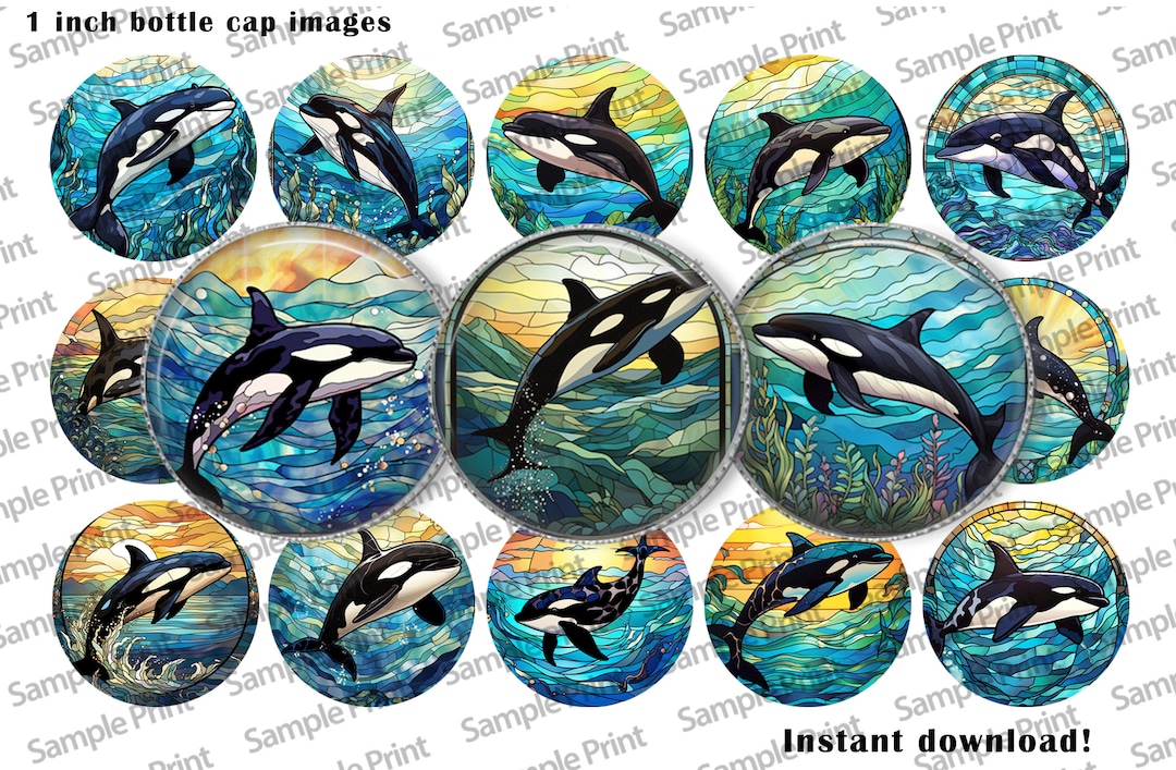 Killer Whale Images - Killer Whale BCI - Stained Glass BCI - Bottle Cap ...