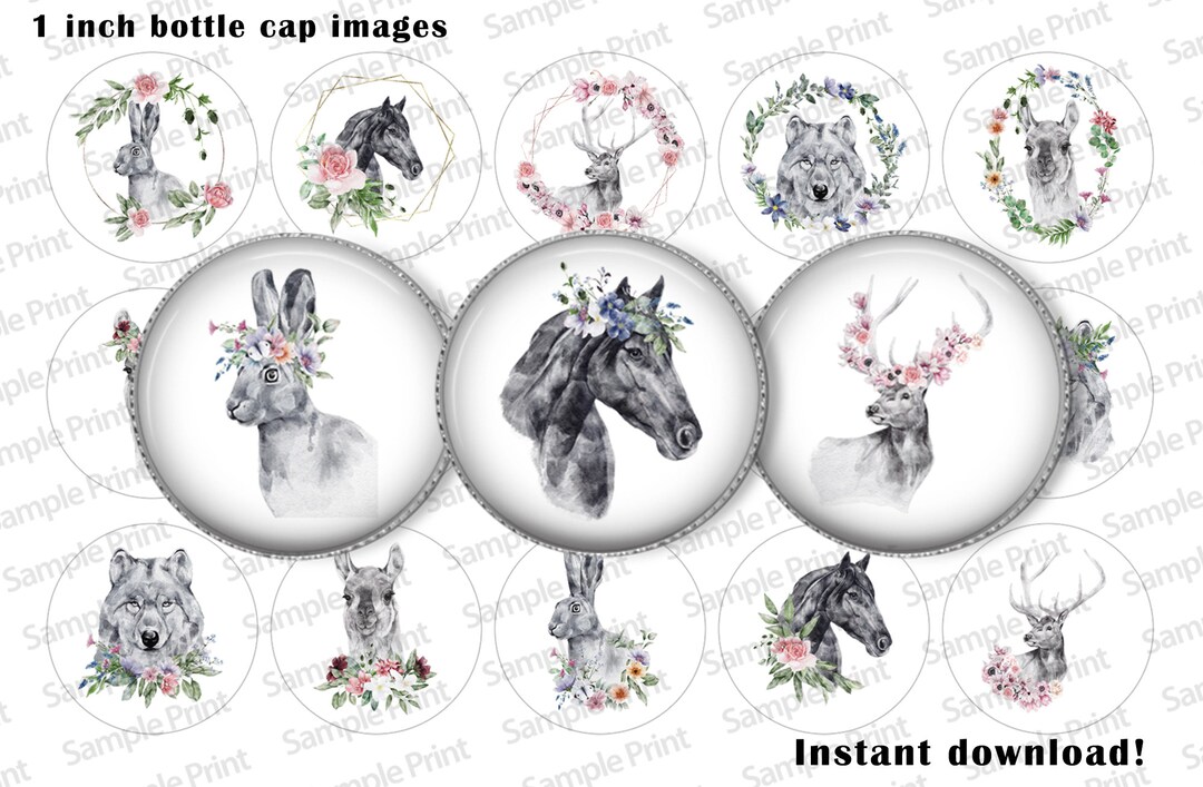Animal BCI - Floral Animal BCI - Framed Animal BCI - Bottle Cap Images ...