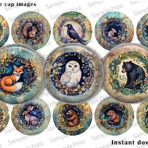 Woodland Animal BCI - Woodland Images - Animal Images - Animal BCI ...