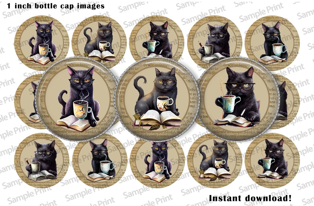 Cat BCI - Cat Images - Coffee Images - Coffee BCI - Reading Images ...