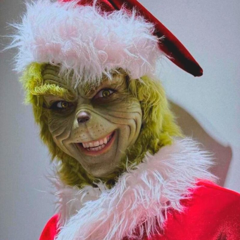 Realistic Grinch Costume - Etsy