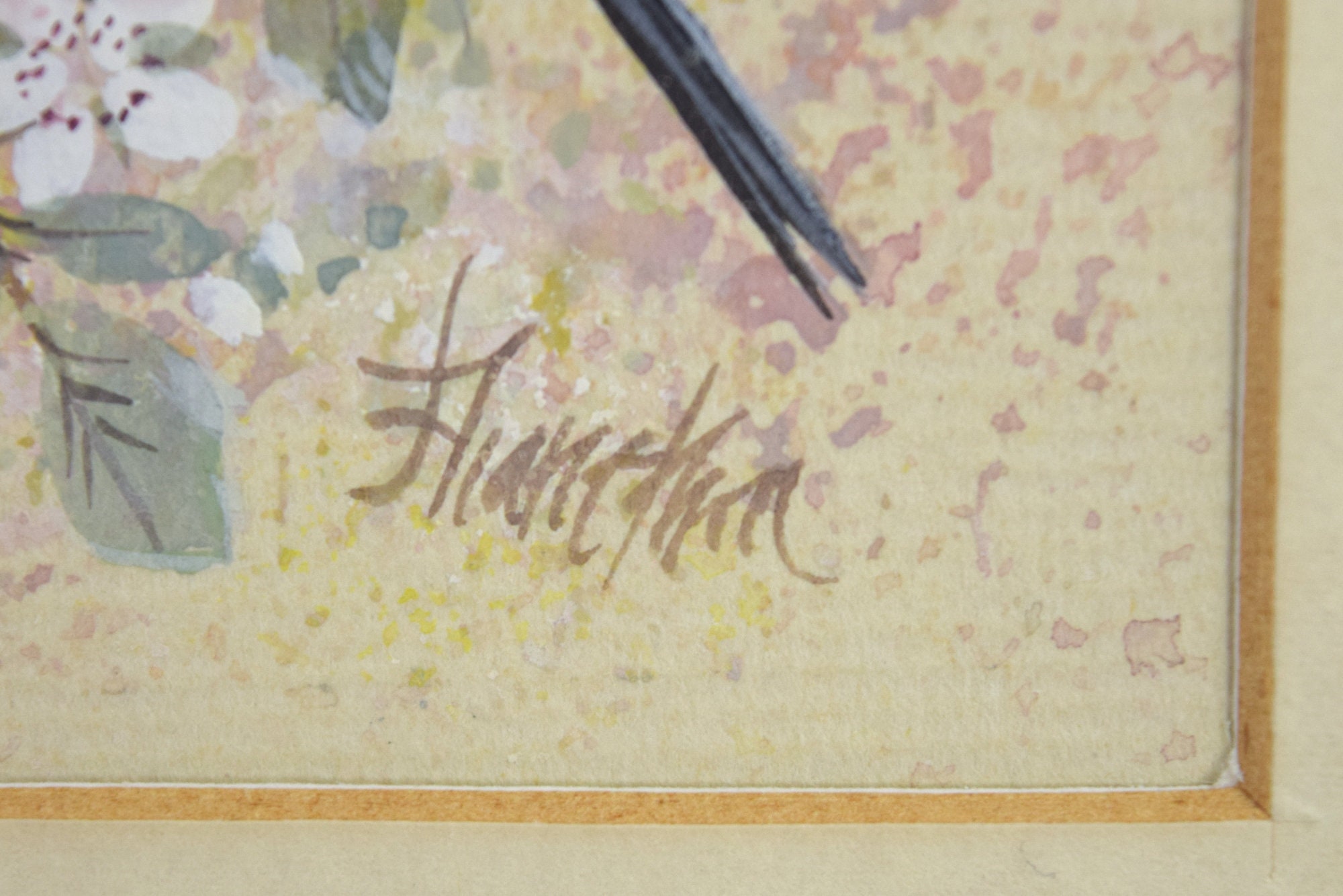 Watercolor Diane Elson Finely Rendered Miniature Painting of Birds ...