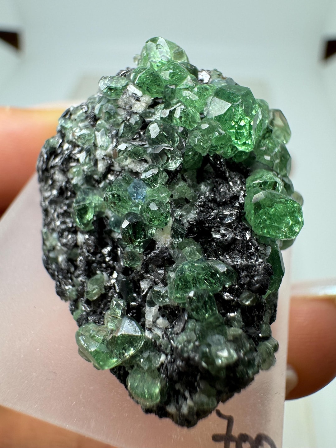 TSAVORIT Crystals on Matrix With Apatite 9.5gr Raw Tsavorite Rough ...