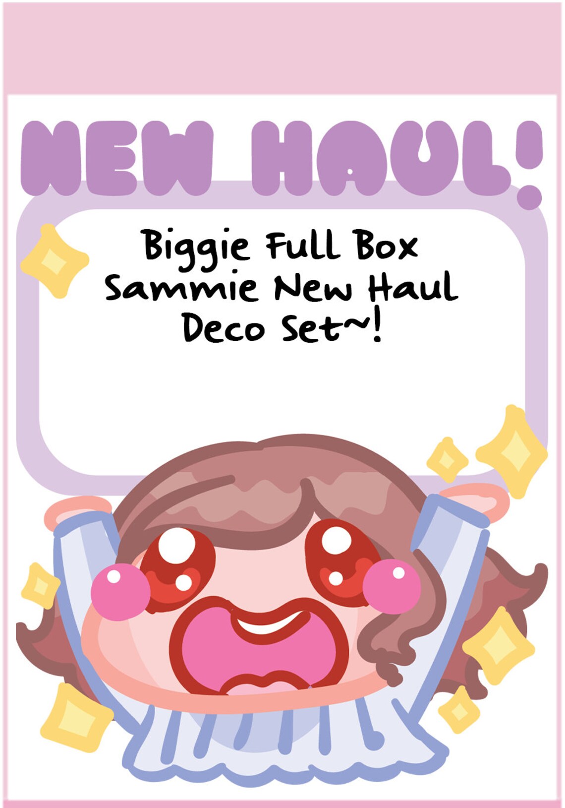 Biggie Half Box New Haul Sammie Deco Set Planner Stickers | Etsy