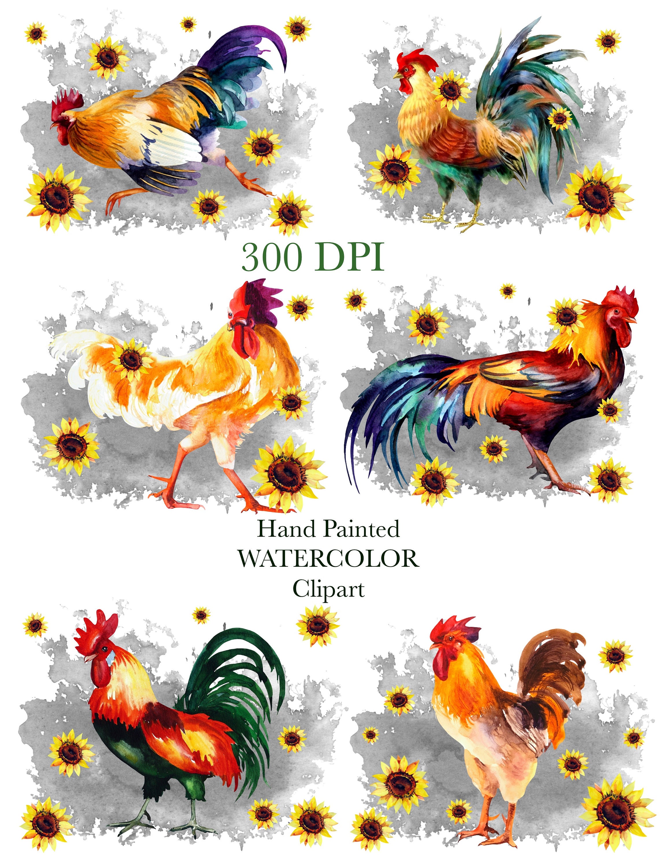 Rooster With Sunflowers Sublimation Designs Download PNG - Etsy