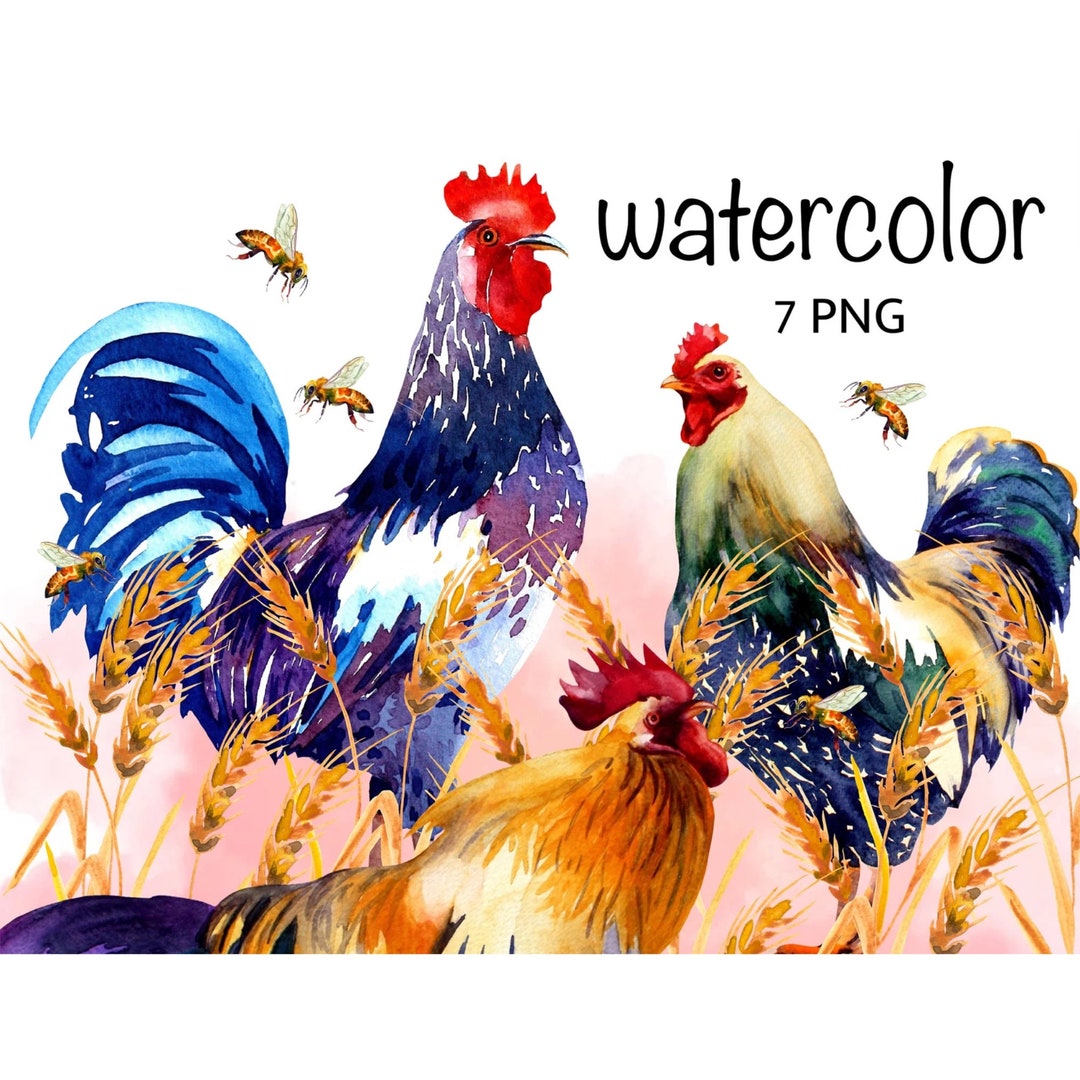 Chicken in Field Watercolor Clipart Set Farm Animals Rooster Farm Bird ...