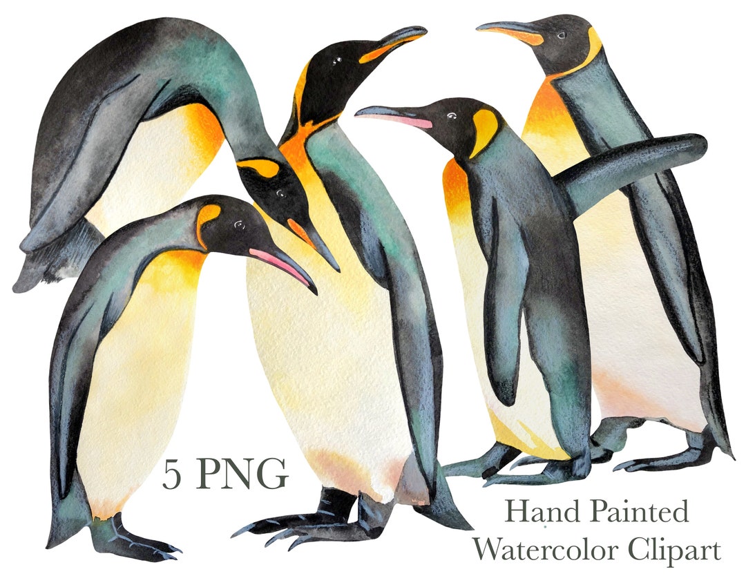 Penguin Watercolor Clipart Set - Etsy