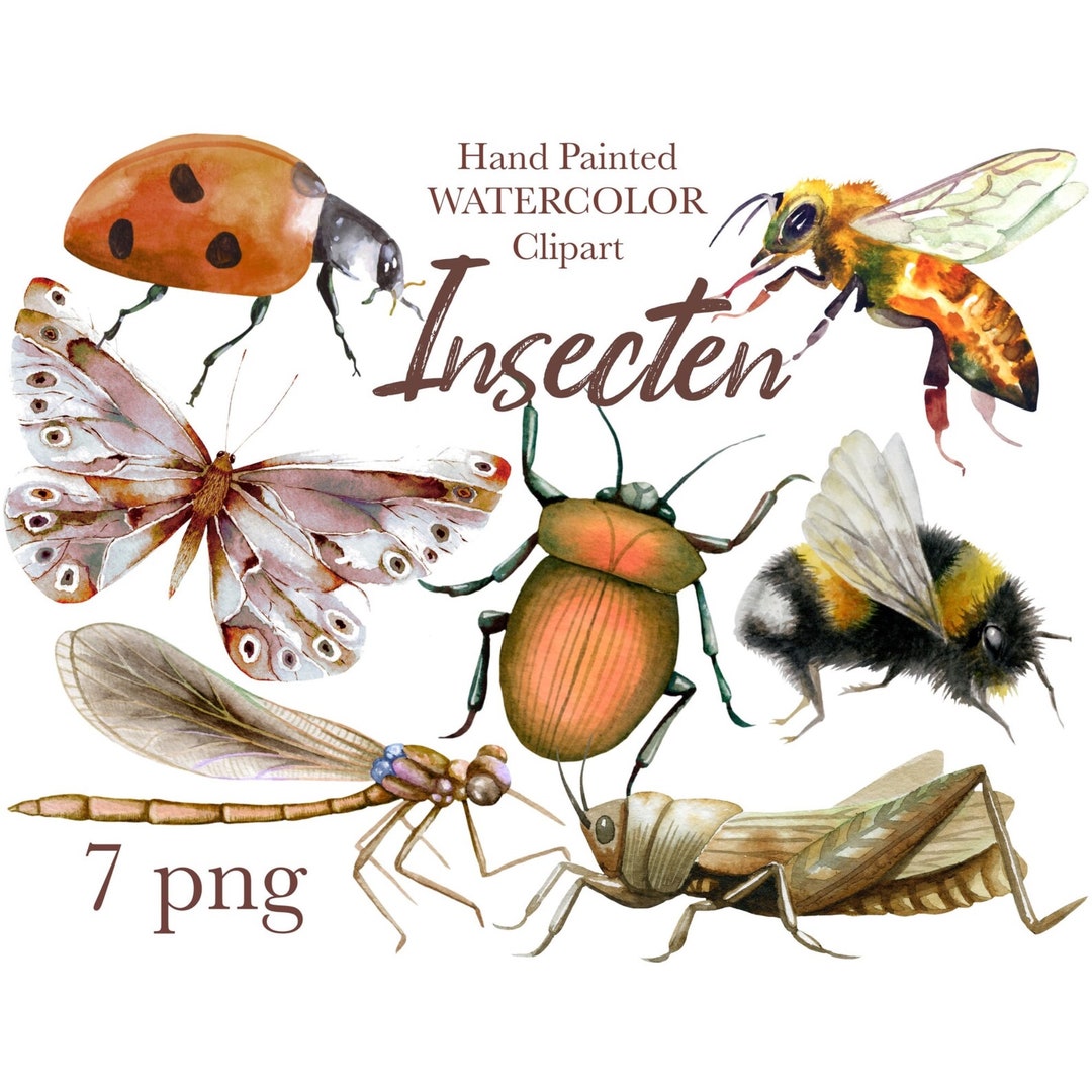 Hand Painted Watercolor Clipart Insects Watercolour Clip Art Printable ...