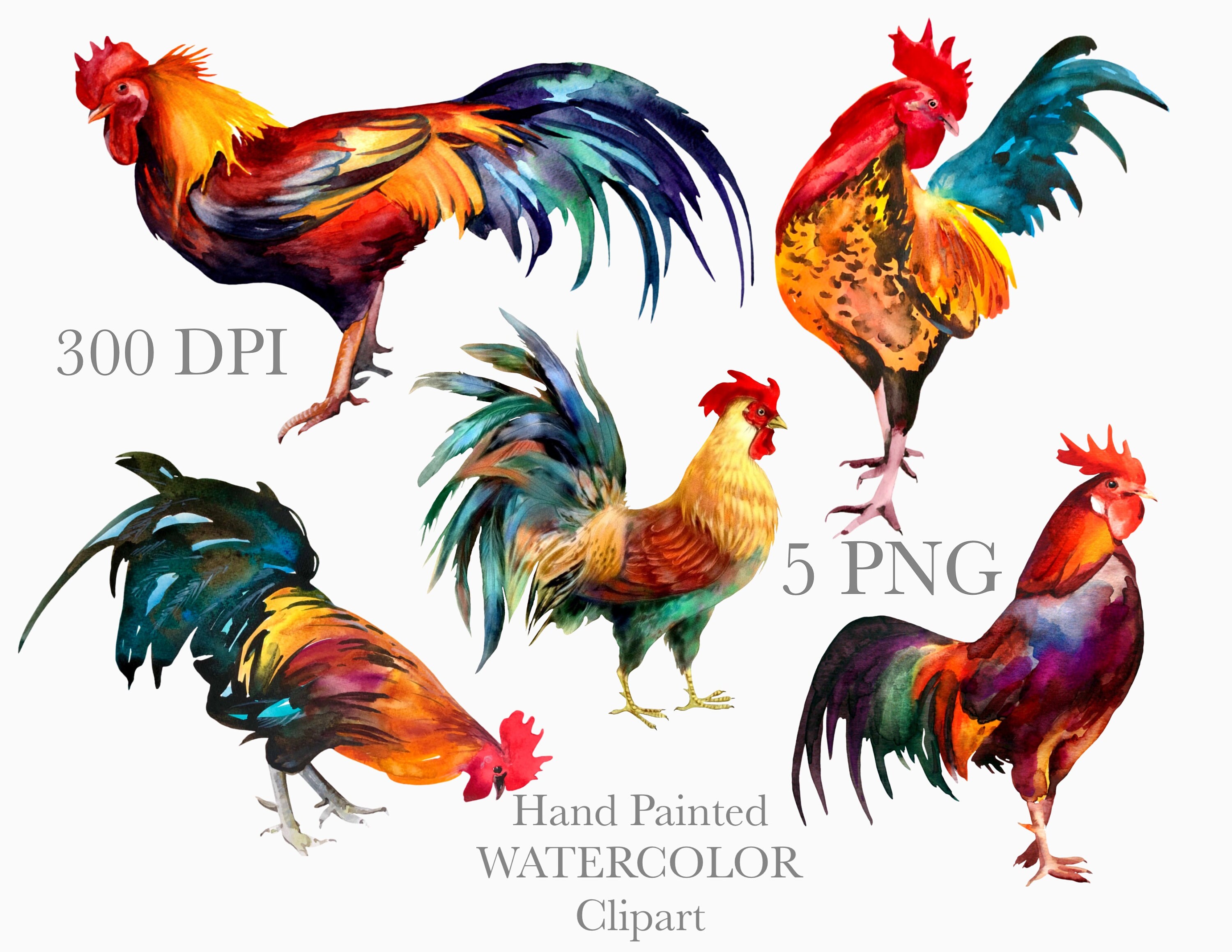 Rooster Clipart