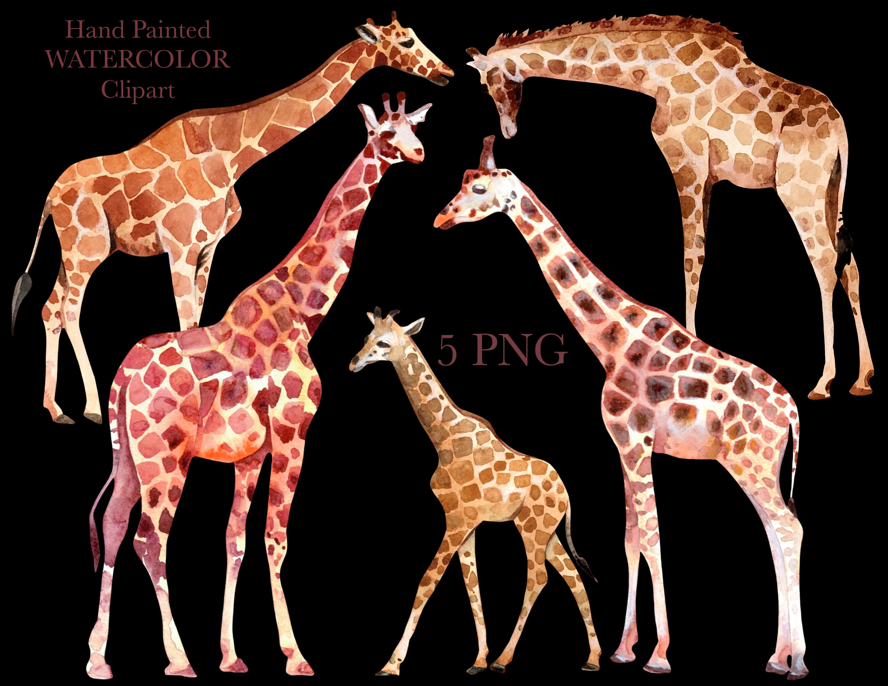 Giraffe Watercolor Clipart | Etsy