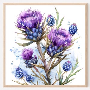 Thistle Art Print, Wildflowers Poster, Farmhouse Wall Decor, Square ...