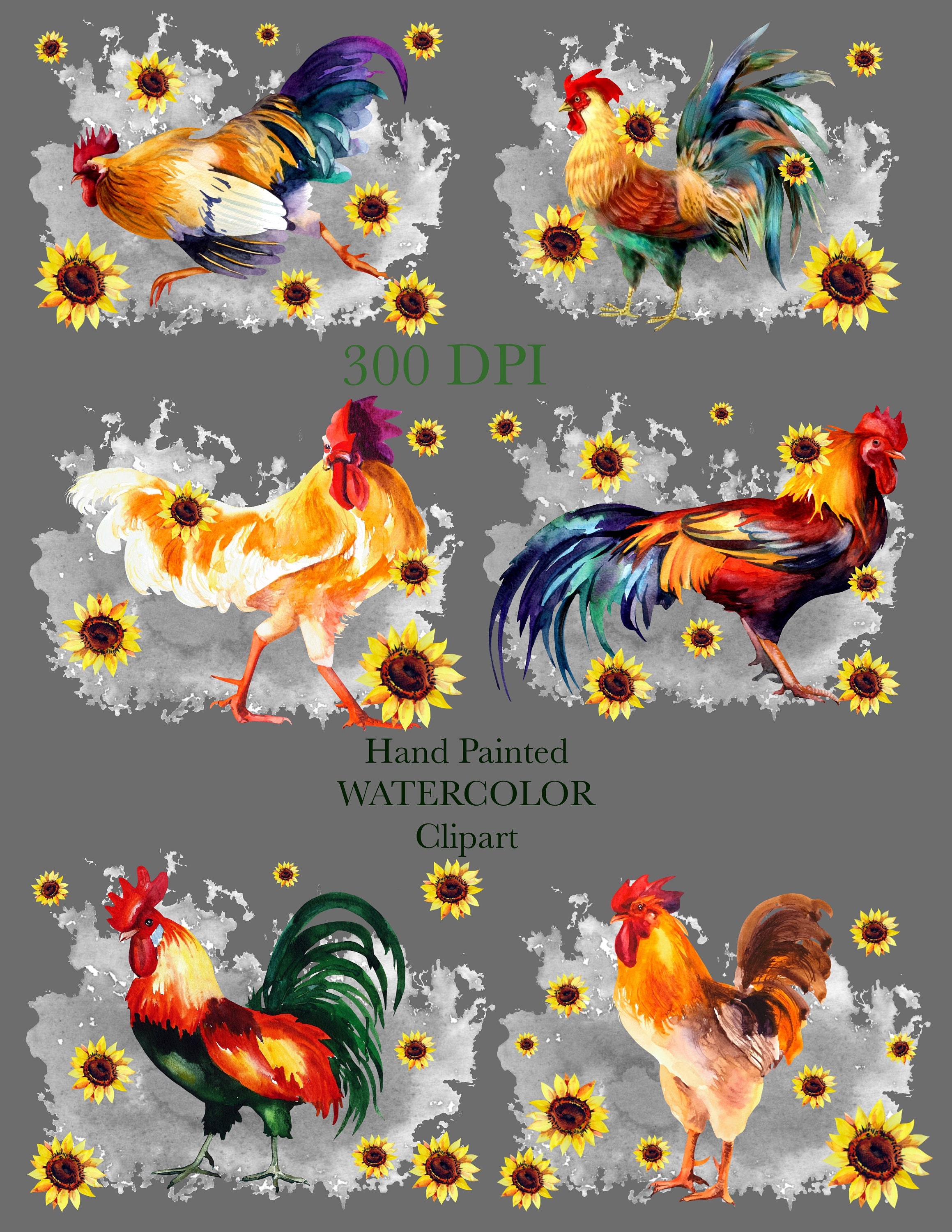 Rooster With Sunflowers Sublimation Designs Download PNG - Etsy