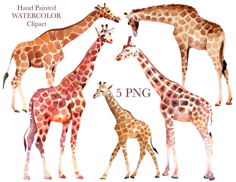 Giraffe Watercolor Clipart | Etsy