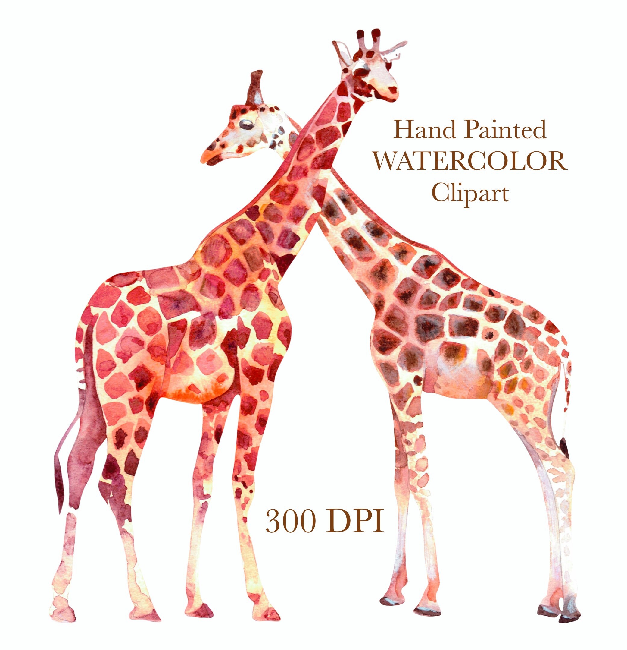 Giraffe Watercolor Clipart | Etsy