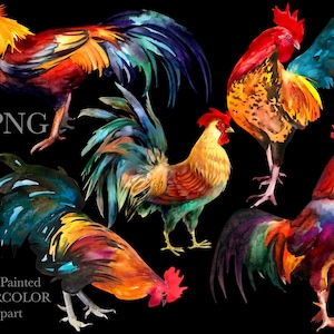 Chicken PNG Watercolor Clipart Rooster Farm Bird Animal Clip - Etsy