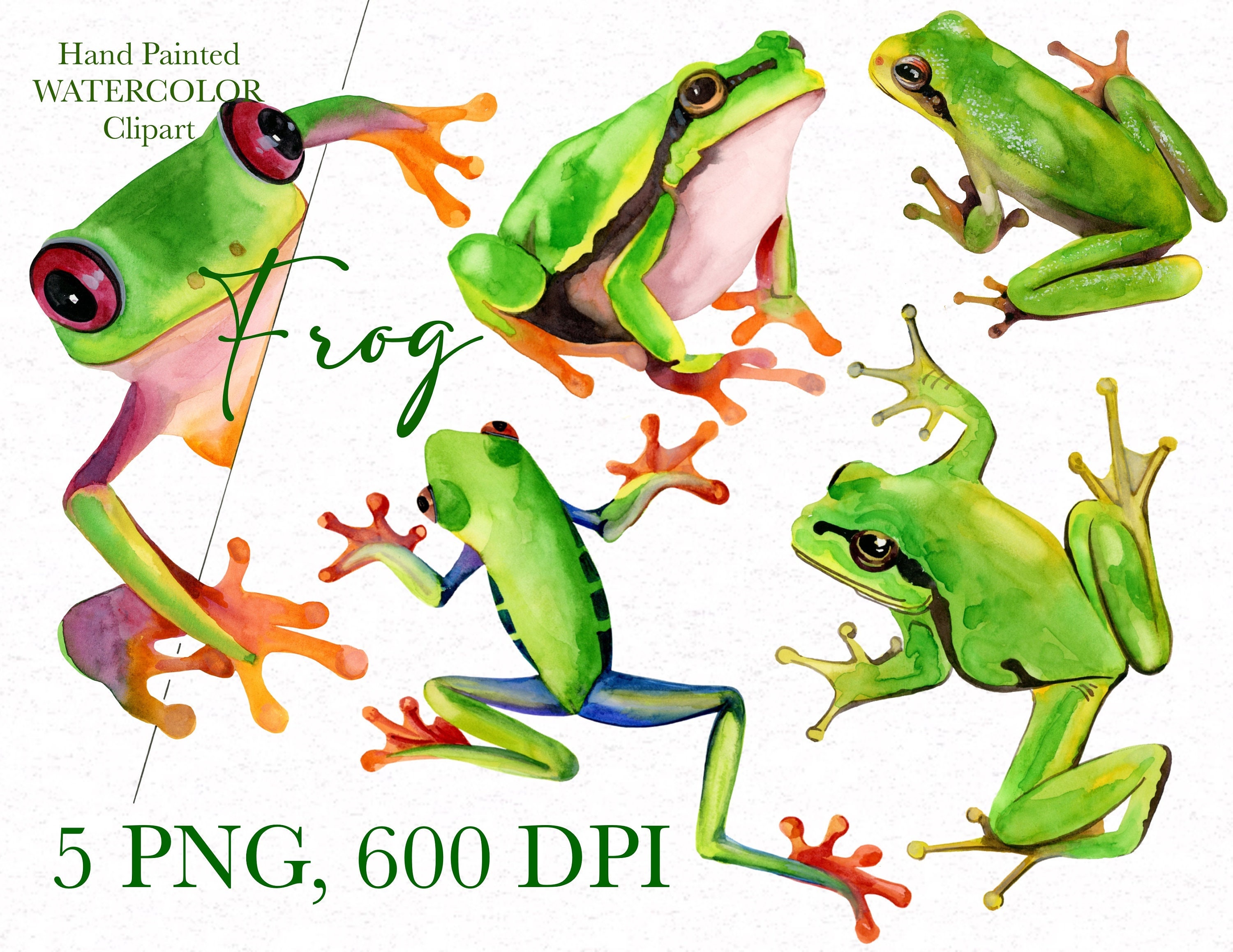 Tadpole To Frog Clipart Eating