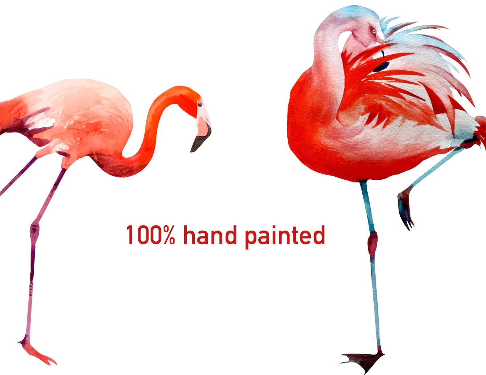 Watercolor Clipart Flamingo Bird Animal Clip Art Printable - Etsy