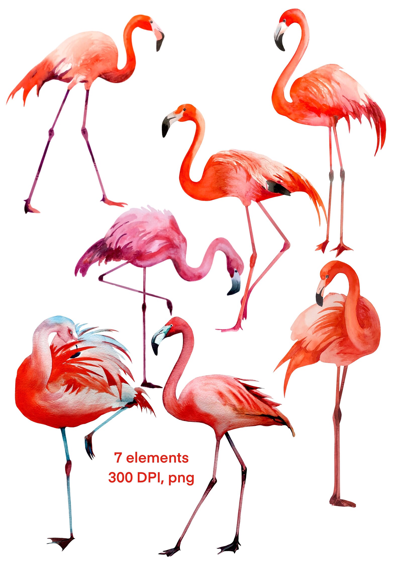 Watercolor Clipart Flamingo Bird Animal Clip Art Printable - Etsy
