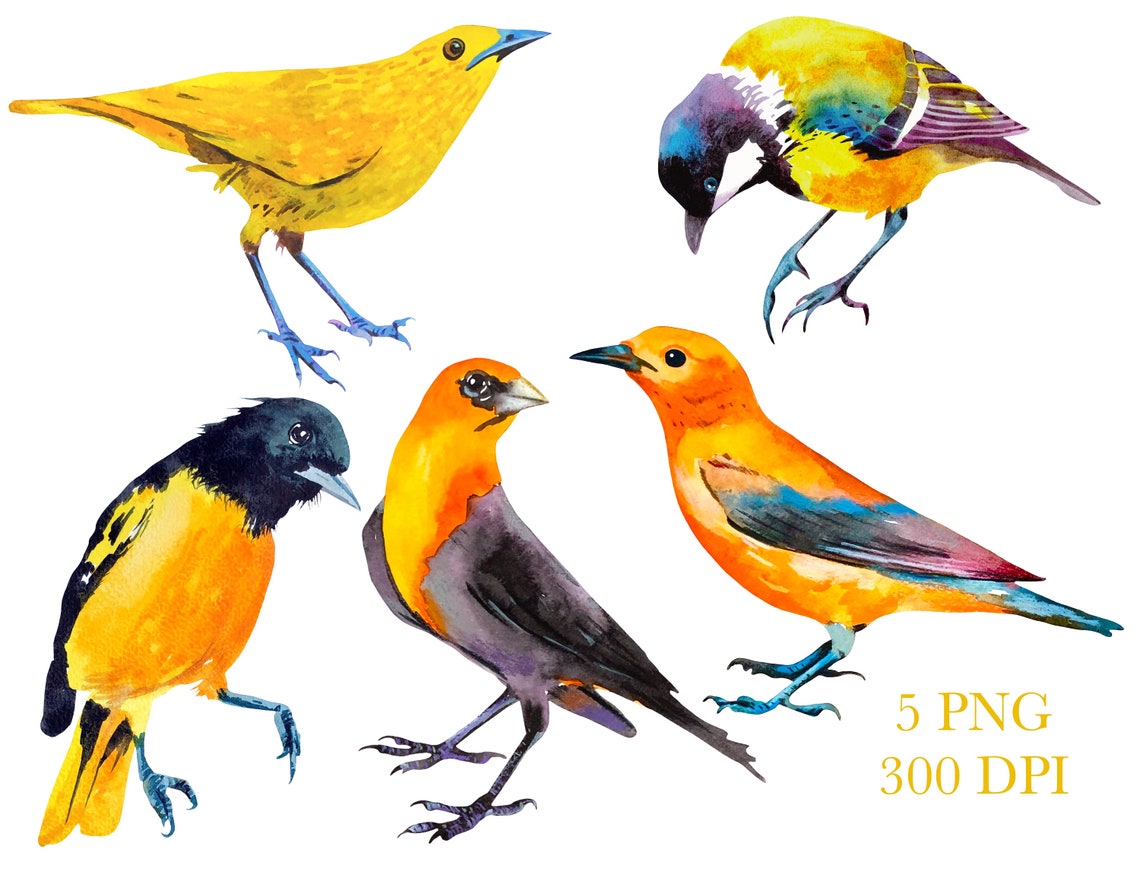 Watercolor Clipart Yellow Birds Clip Art Printable Instant - Etsy