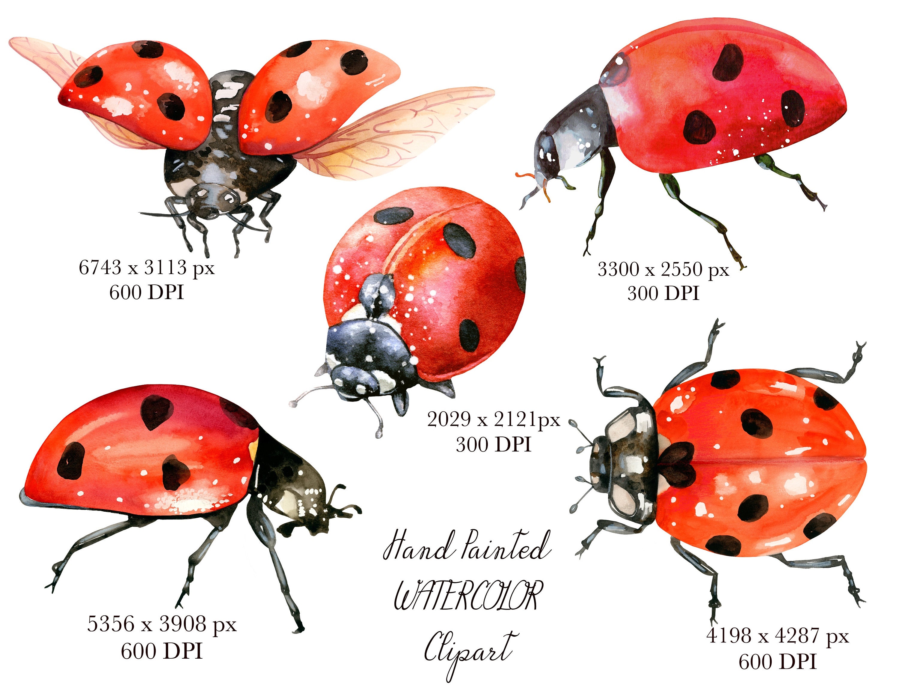 Flying Ladybug Clipart