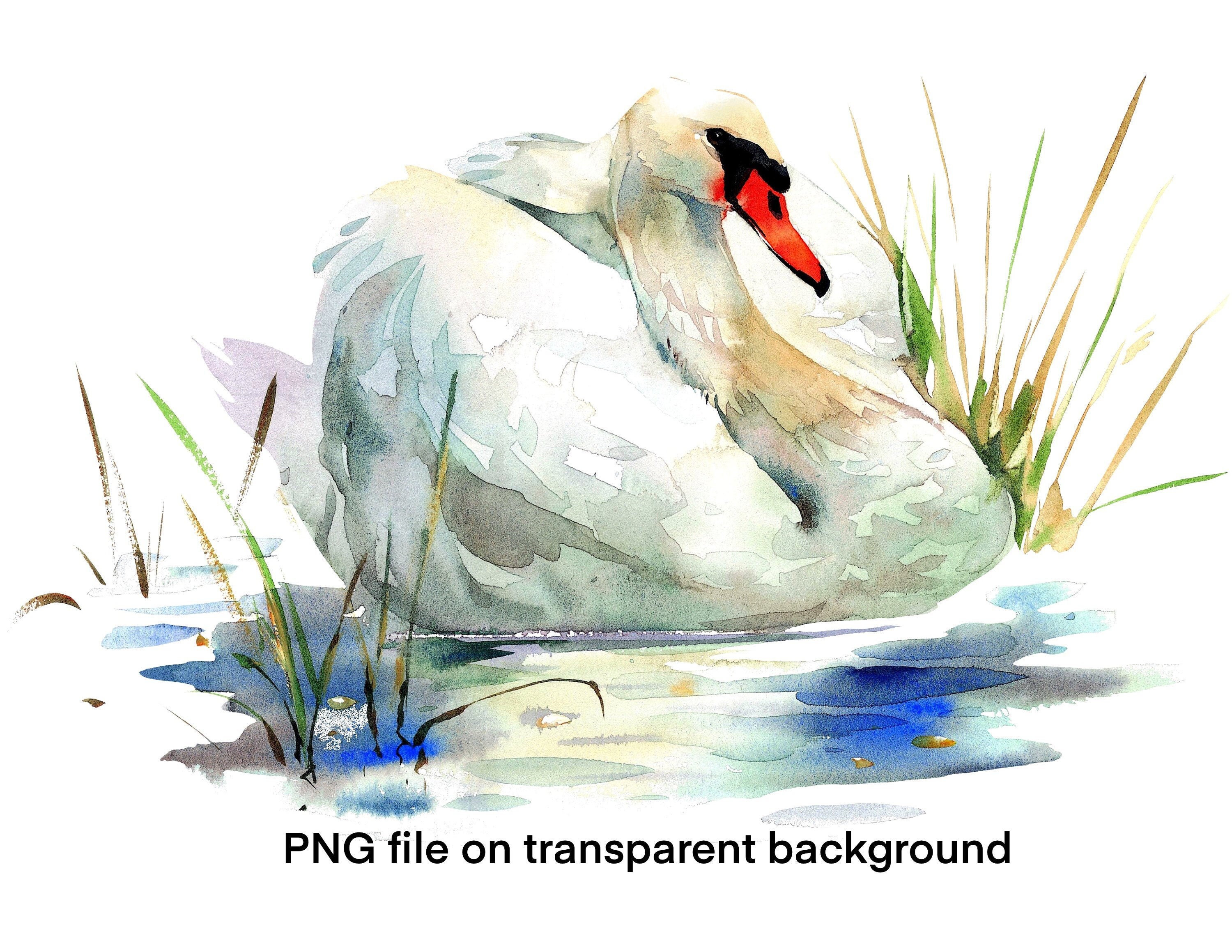 Craft Supplies & Tools Scrapbooking Paper, Party & Kids Swan Watercolor ...