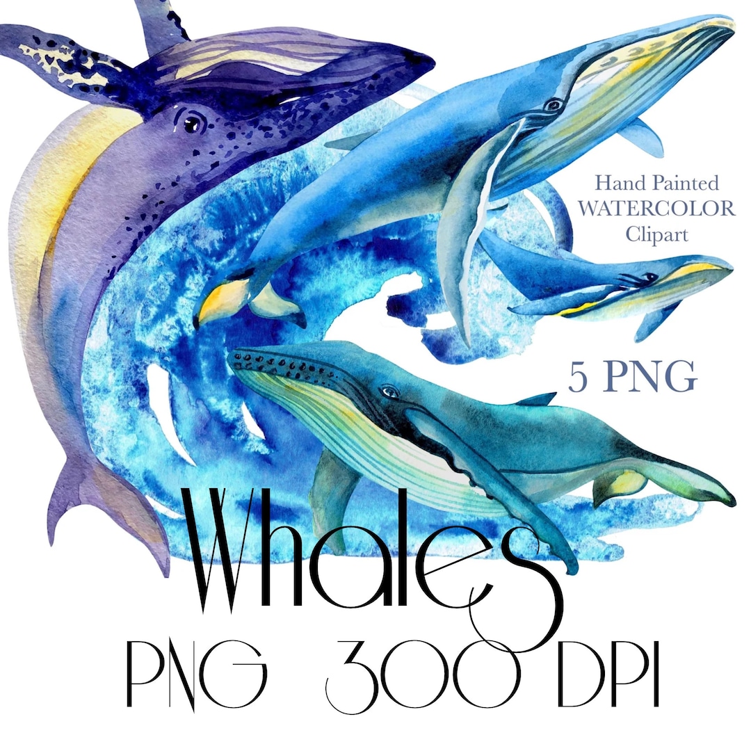 Watercolor Clipart Whale Clip Art Ocean Life Nautical Clipart - Etsy Canada