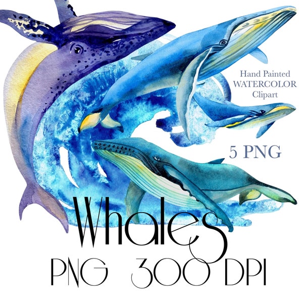 Humpback Whale - Etsy