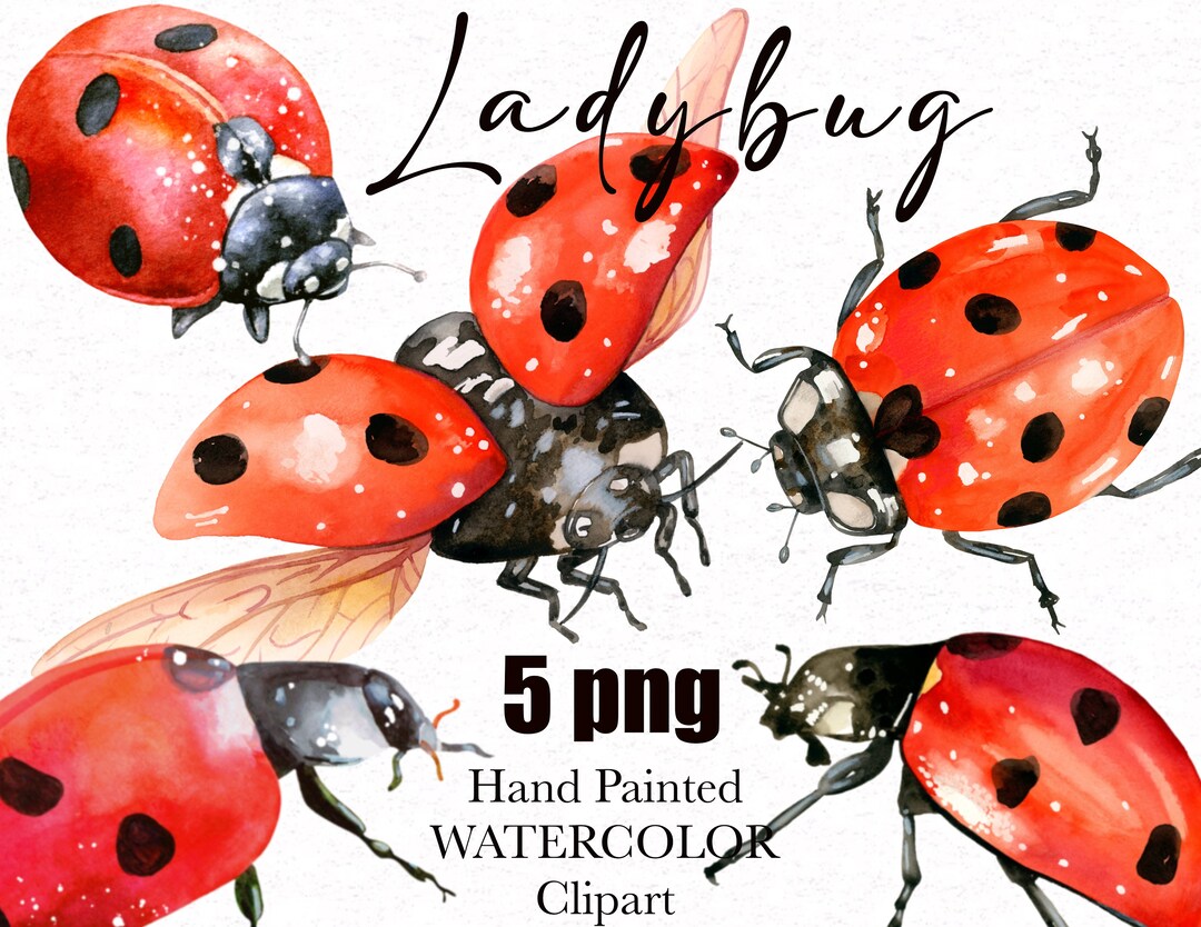 Ladybugs Clipart Ladybug Download Instant Download Flying - Etsy