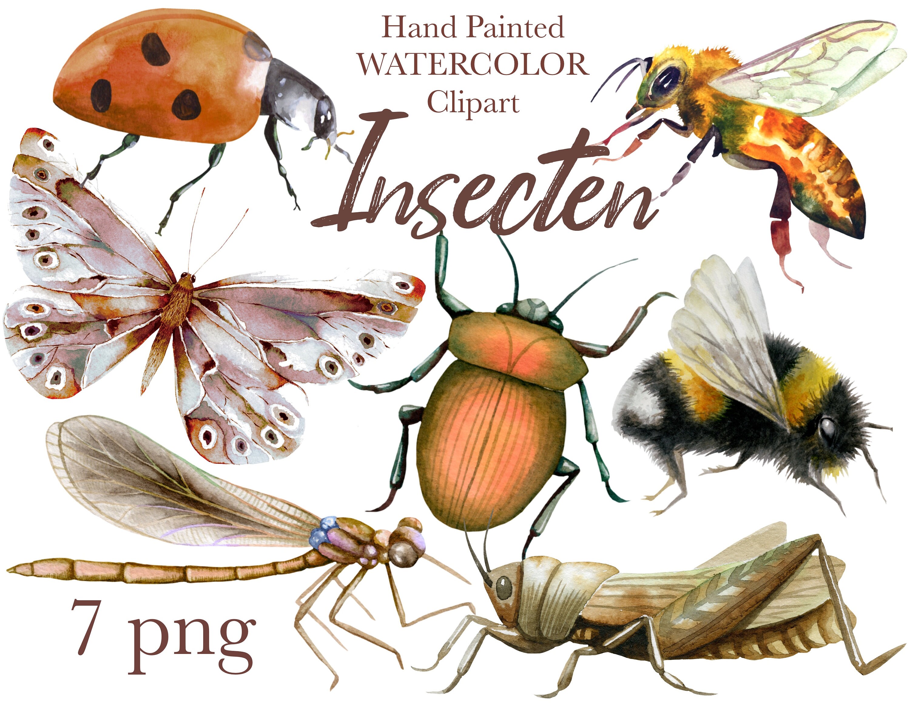 Hand Painted Watercolor Clipart Insects Watercolour Clip Art | Etsy