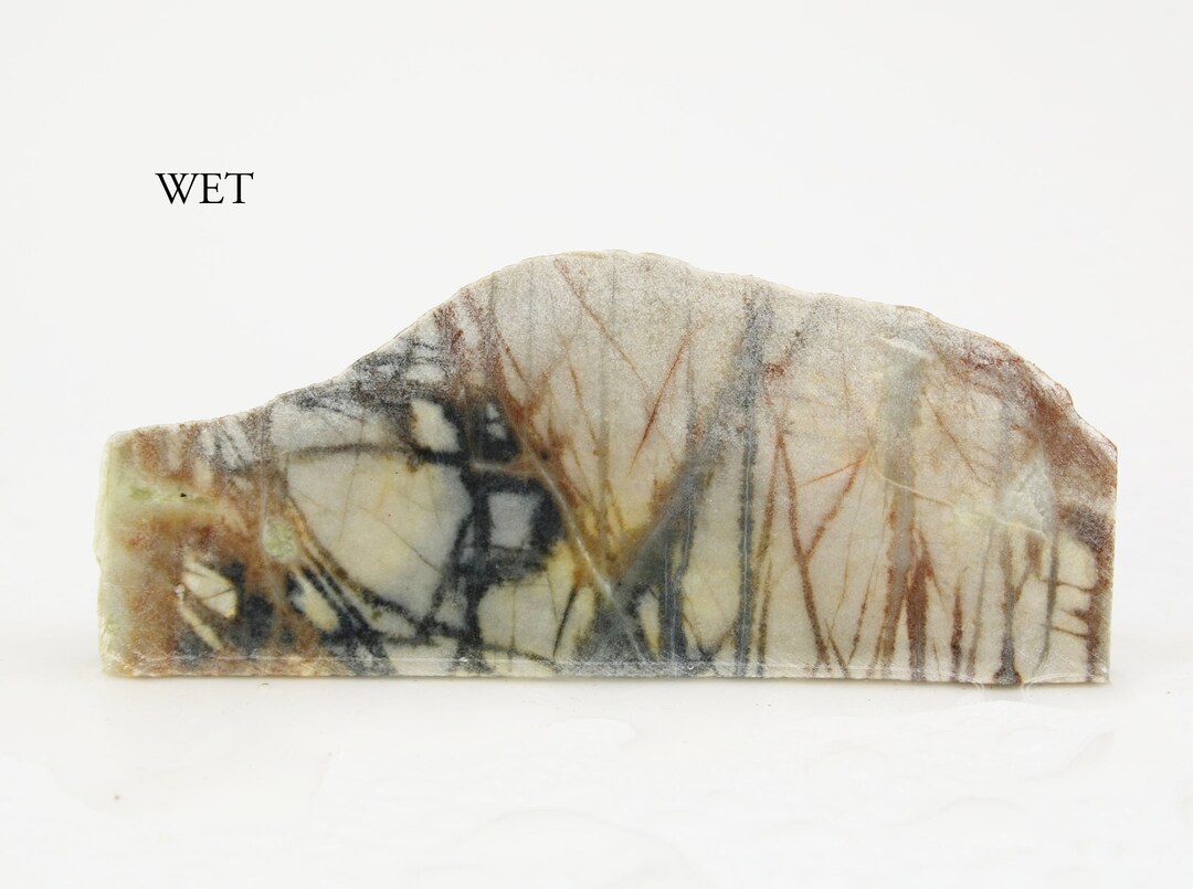 Lapidary Slab Picasso Marble Rough Slab Specimen, Natural Unpolished ...