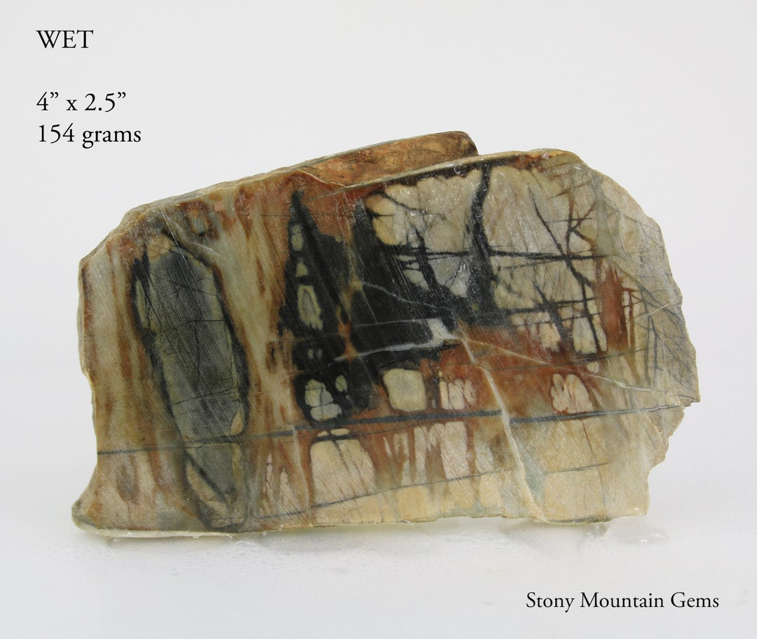 Lapidary Rough, Lapidary Slab Picasso Marble Rough Slab Specimen ...