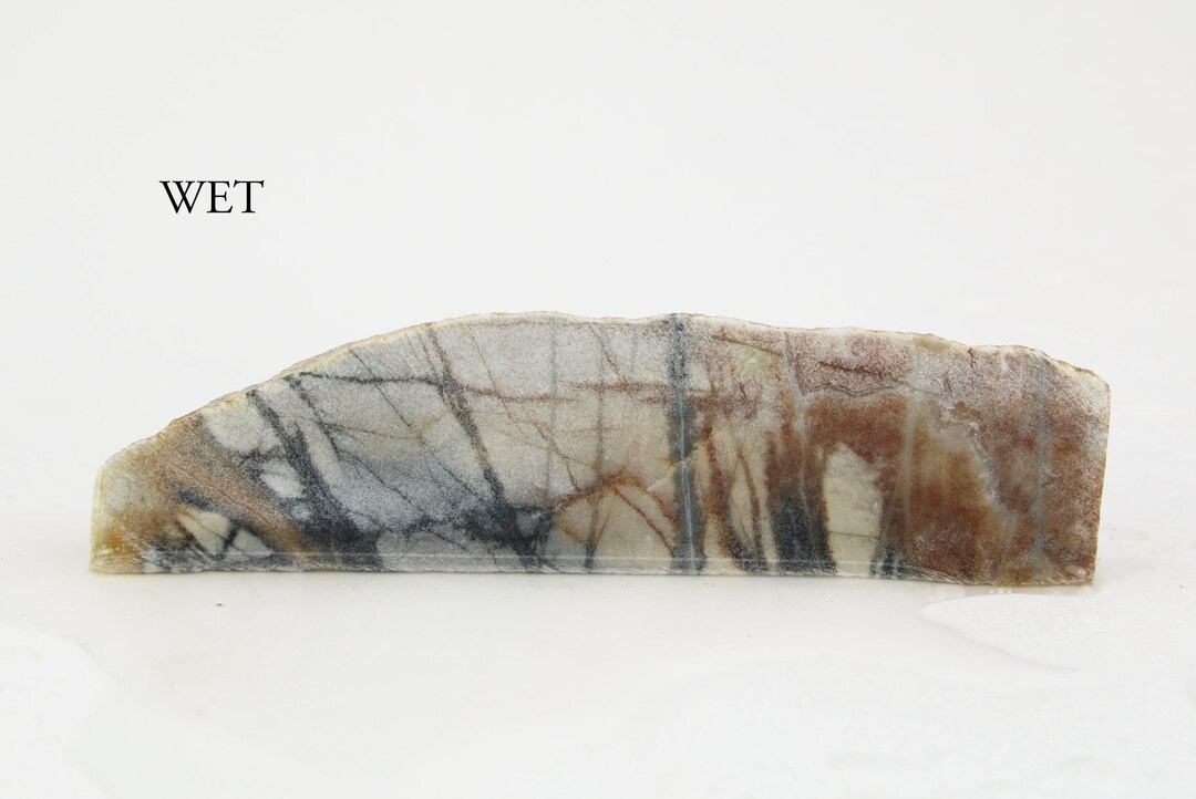 Lapidary Slab Picasso Marble Rough Slab Specimen, Natural Unpolished ...