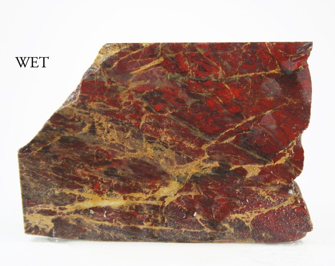 Lapidary Rough Slab Pilbara Jasper Rough Slab Specimen, Natural ...